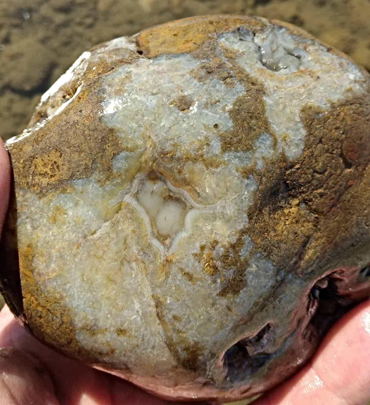 Where to Dig for Agate in Livingston, Montana