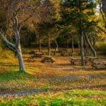 Rockhound Maps For Crystal and Mineral Digs in Every State