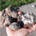 Polka Dot Agate Mine and Why You Should Visit