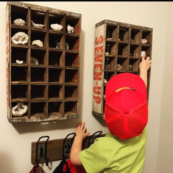 How to Display Your Rock and Mineral Collection, Unique Idea