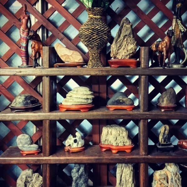 How to Display Your Rock and Mineral Collection, Unique Idea