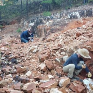 FREE Dig For and Collect Quartz Crystals, Crystal Vista