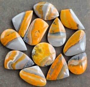 Bumblebee Jasper (Everything You Need to Know)