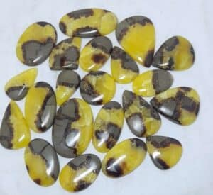 Septarian Nodules: Beginners Guide to Valuing and Findin