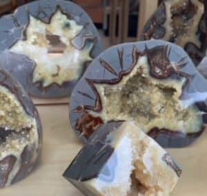 Septarian Nodules: Beginners Guide to Valuing and Findin