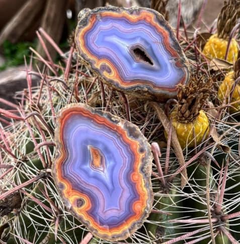 Crazy Lace Agate You've Never Heard Of (Coyamito Variety)