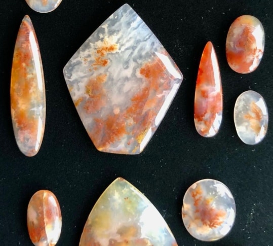 Plume Agate Varieties and How to Identify Them with Pics