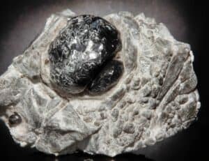 Apache Tears | The Geronimo Guide to Finding and Identifying