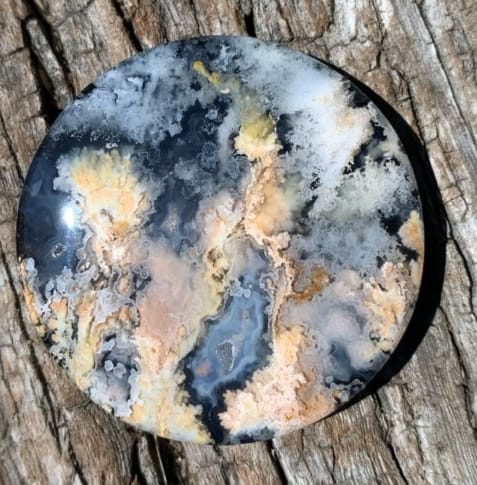 Plume Agate Varieties and How to Identify Them with Pics