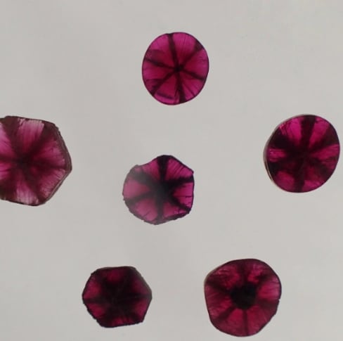What Are Trapiche Gemstones (Amethyst, Ruby, Sapphire)?