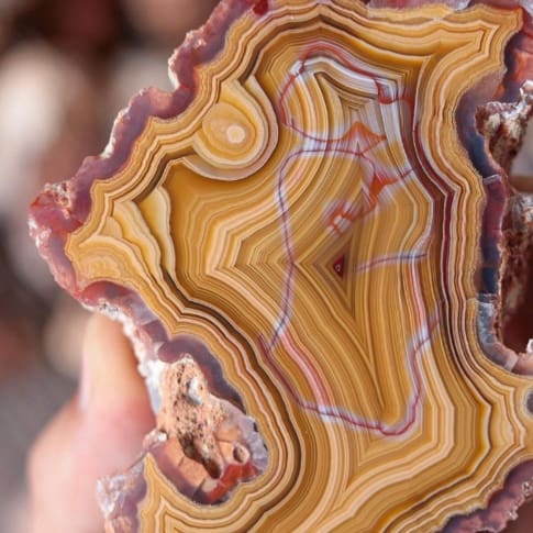 Crazy Lace Agate You've Never Heard Of (Coyamito Variety)