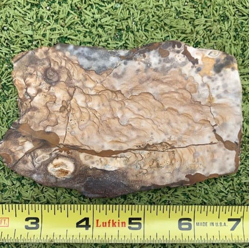 Biggs Jasper, #1 Picture Jasper in The World