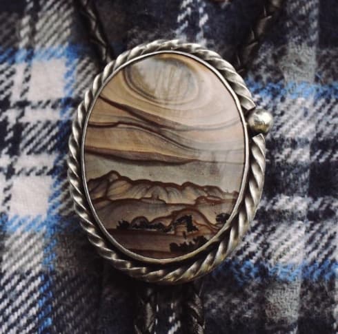 Biggs Jasper, #1 Picture Jasper in The World