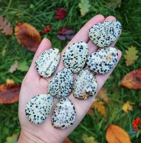 Popular Types of Jasper (Pics) and Why You Need to Collect