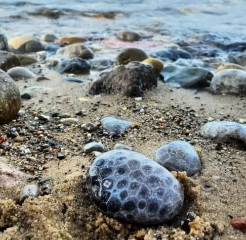 Petoskey Stones and Why It's Named After an Ottawa Chief