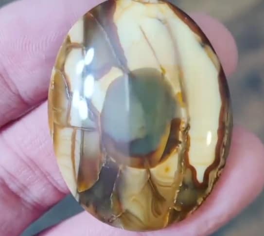 Popular Types of Jasper (Pics) and Why You Need to Collect