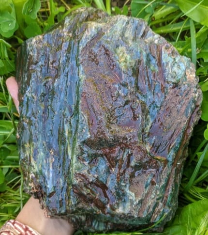 Green Petrified Wood "The Rarest and Collectible Color"