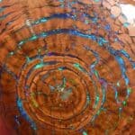 Opalized Petrified Wood, also known as Wood Opal