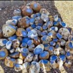 Types of Chalcedony (All Colors, Varieties, & Lots of Pics)